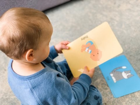 First Word, Everyday Objects Flashcard Printable for 6+ Months - Two ...