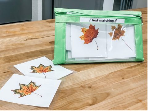 17 Fun Activities to Laminate for Babies, Toddlers, and Preschoolers ...