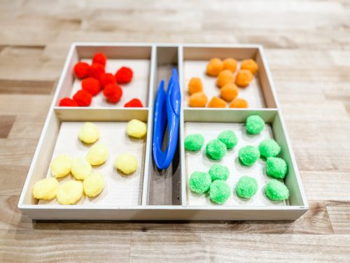 Pom Pom Color Sorting Activity Idea (with Tweezers for Fine Motor ...