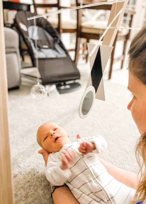 Monti Kids 0-3 Months Montessori Play Set Review - Two Mama Bears