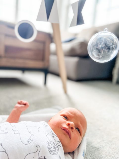 Monti Kids 0-3 Months Montessori Play Set Review - Two Mama Bears