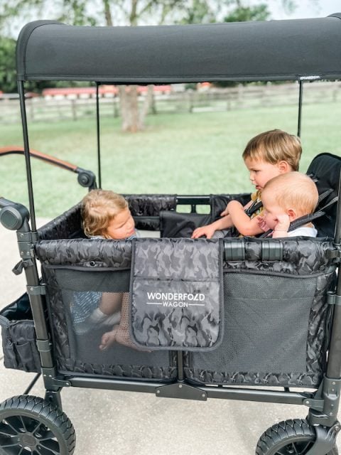 WonderFold W4 Stroller Wagon: Is It Worth It?