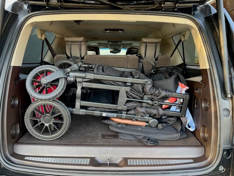 The 15 Best Stroller Wagons of 2024 - Two Mama Bears